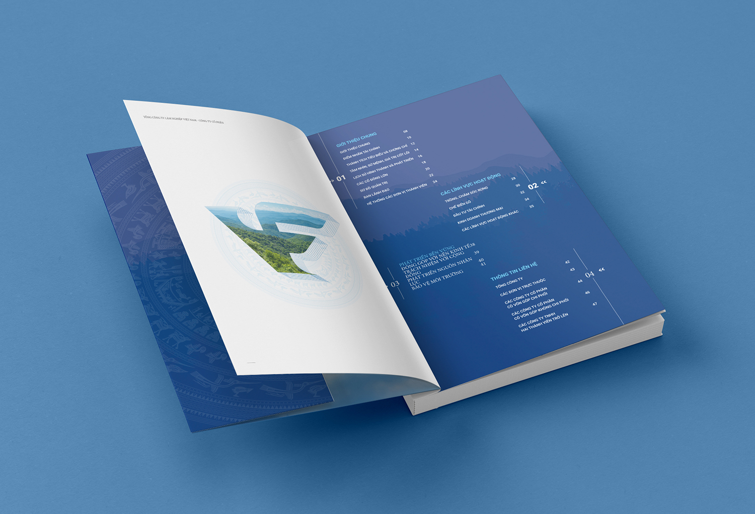 VINAFOR – COMPANY PROFILE – HALU Agency