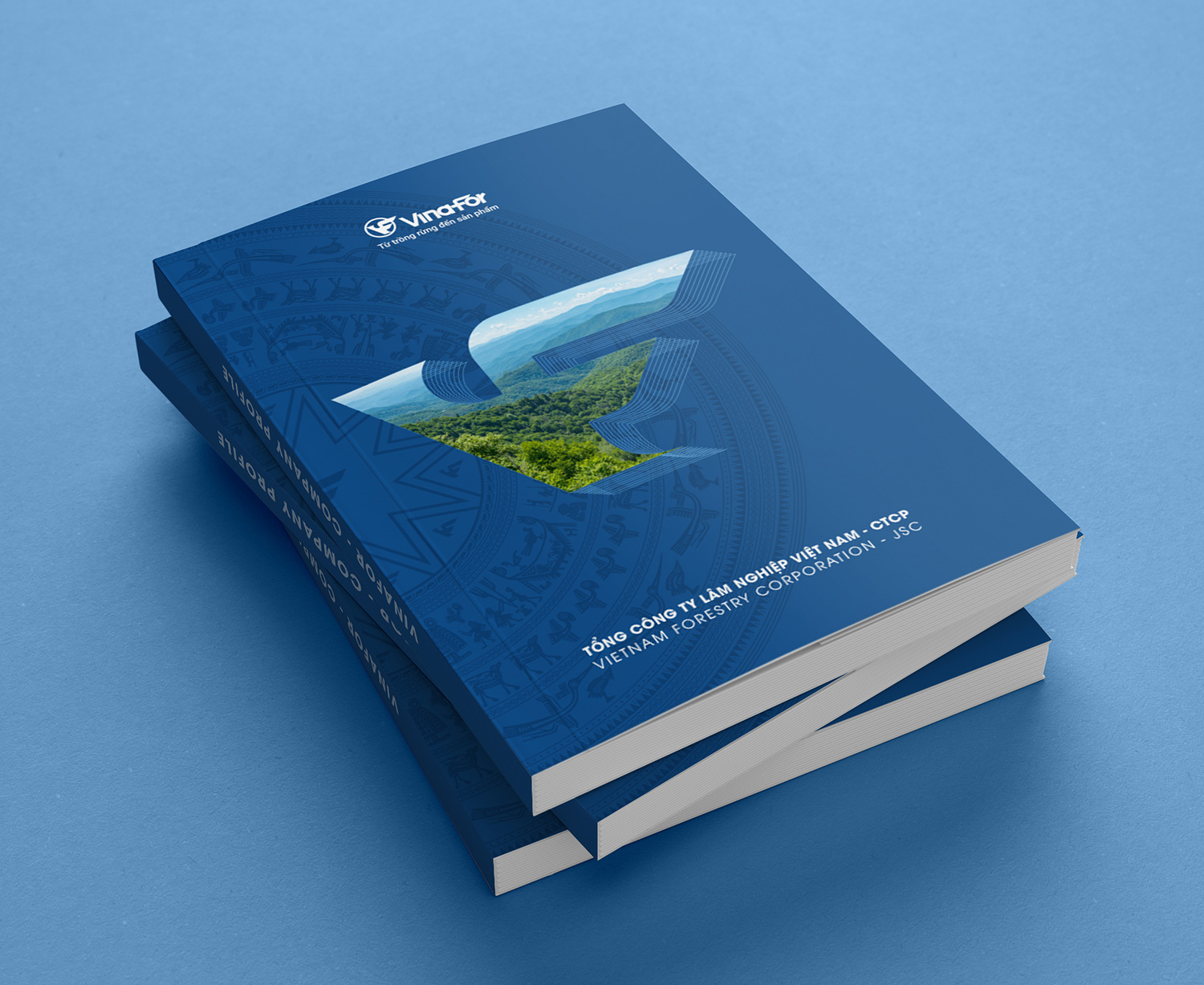 VINAFOR – COMPANY PROFILE – HALU Agency